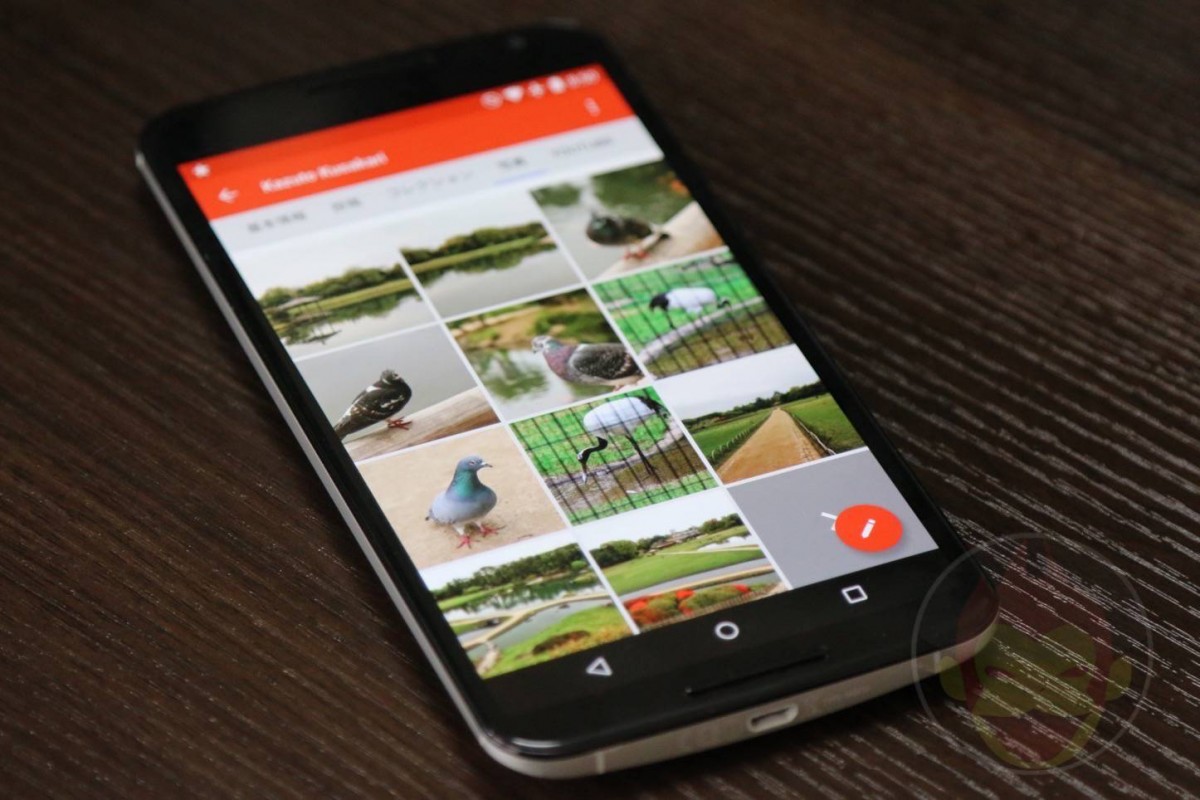 「Google Plus Photos」、8月1日をもってサービス終了へ | ゴリミー